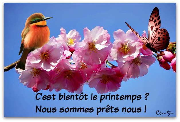 C'est quand le printemps